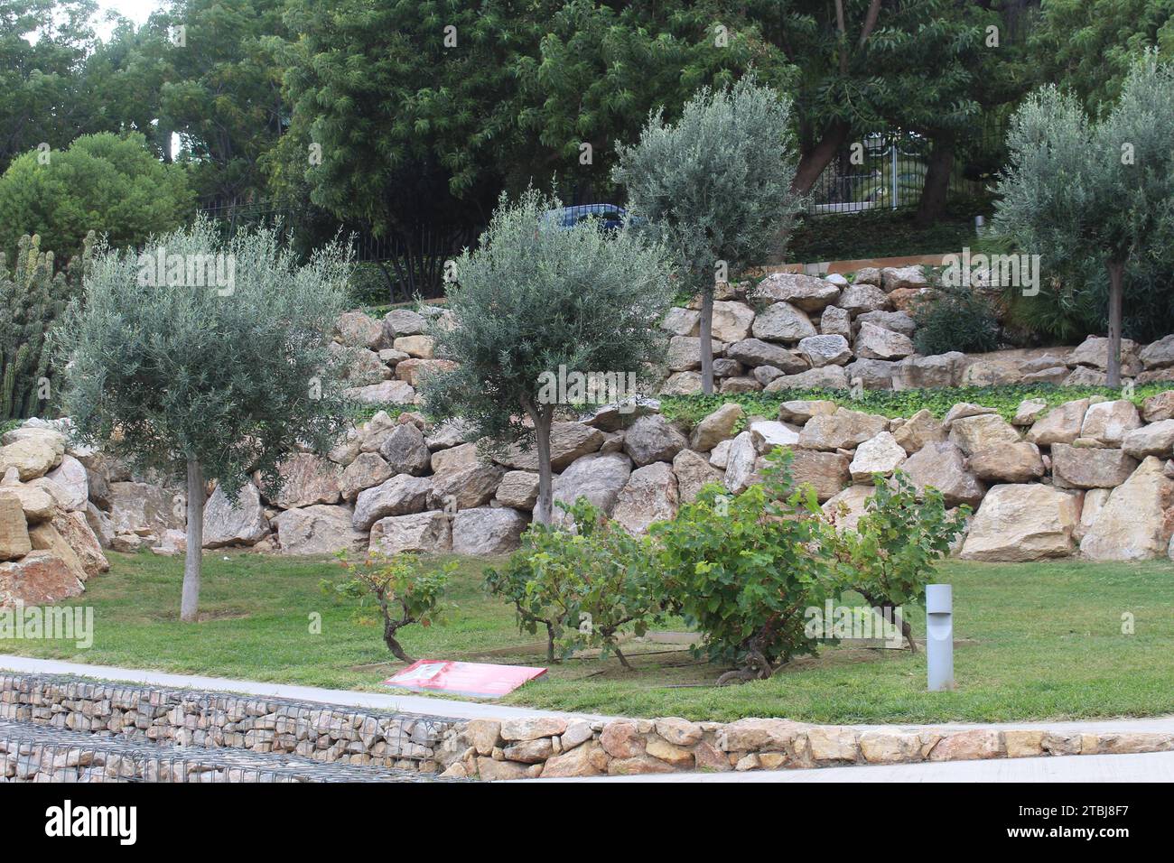 Terrace slope hi-res stock photography and images - Alamy