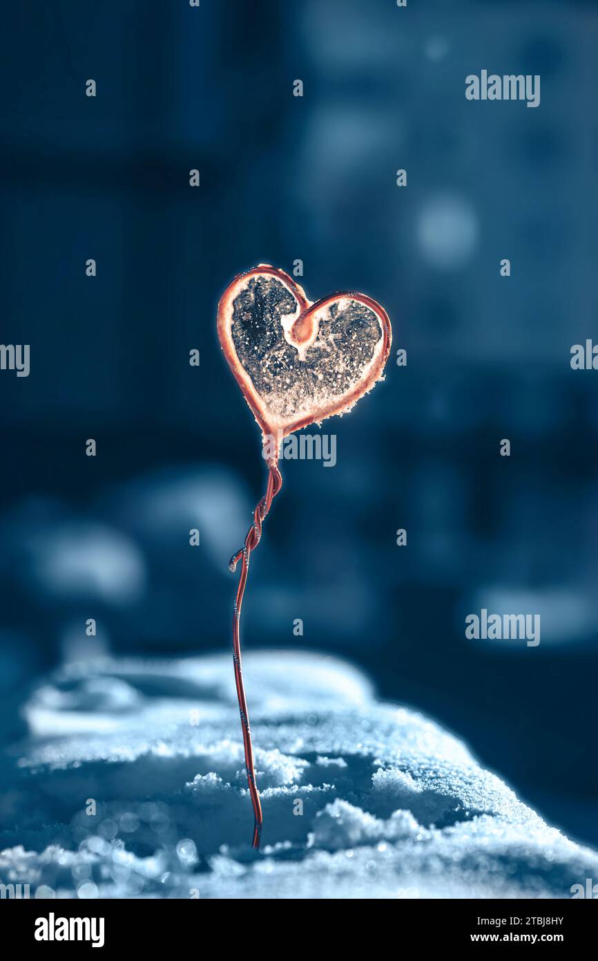 concept winter, frost. beautiful frosty patterns on a heart shape, soap ...