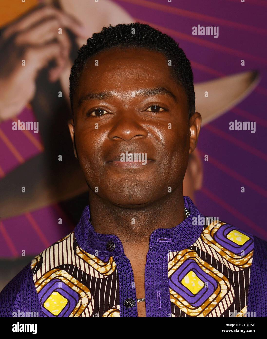 LOS ANGELES, CALIFORNIA - DECEMBER 06: David Oyelowo attends the World ...