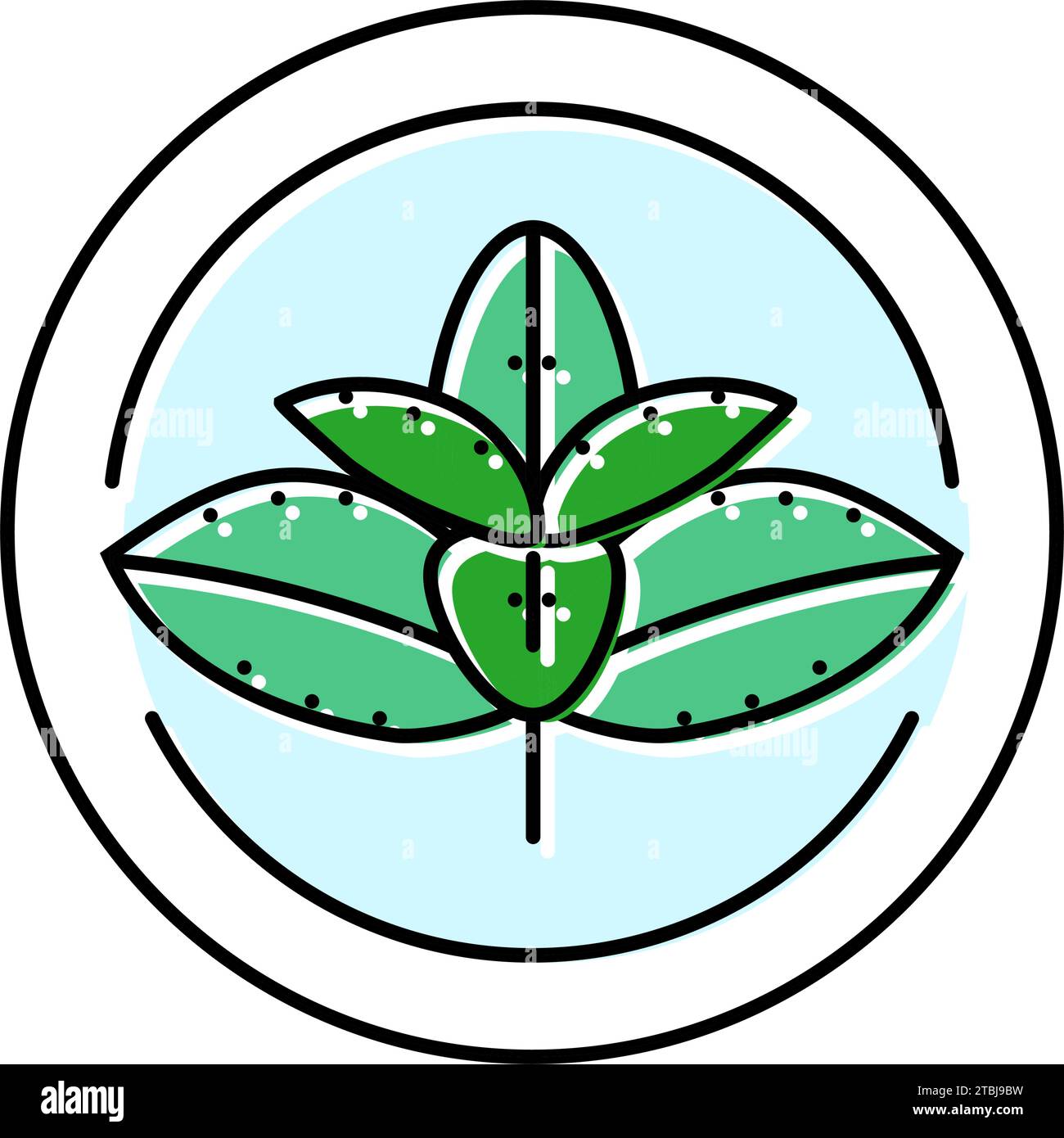 mint cosmetic plant color icon vector illustration Stock Vector Image ...