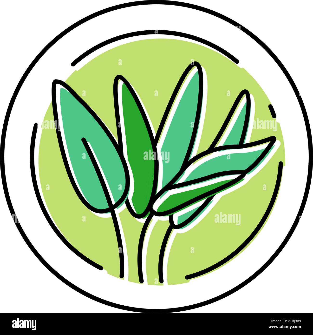 Sage green wall Cut Out Stock Images & Pictures - Alamy