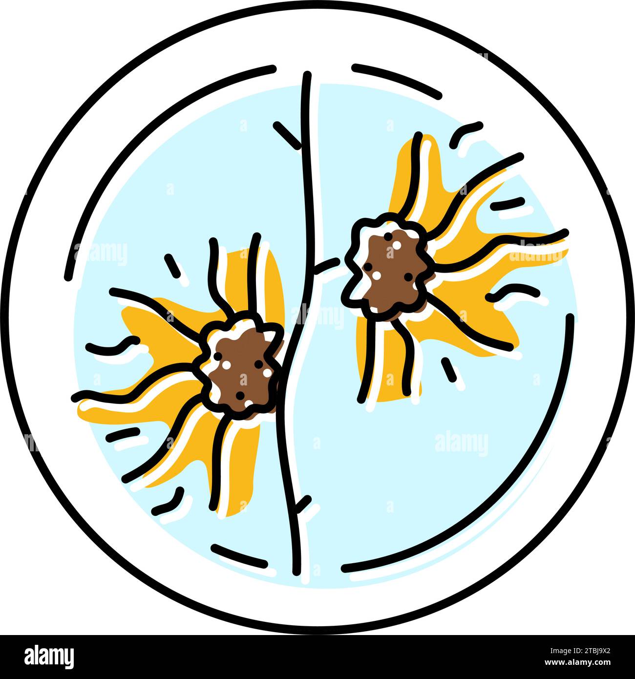 witch hazel cosmetic plant color icon vector illustration Stock Vector ...