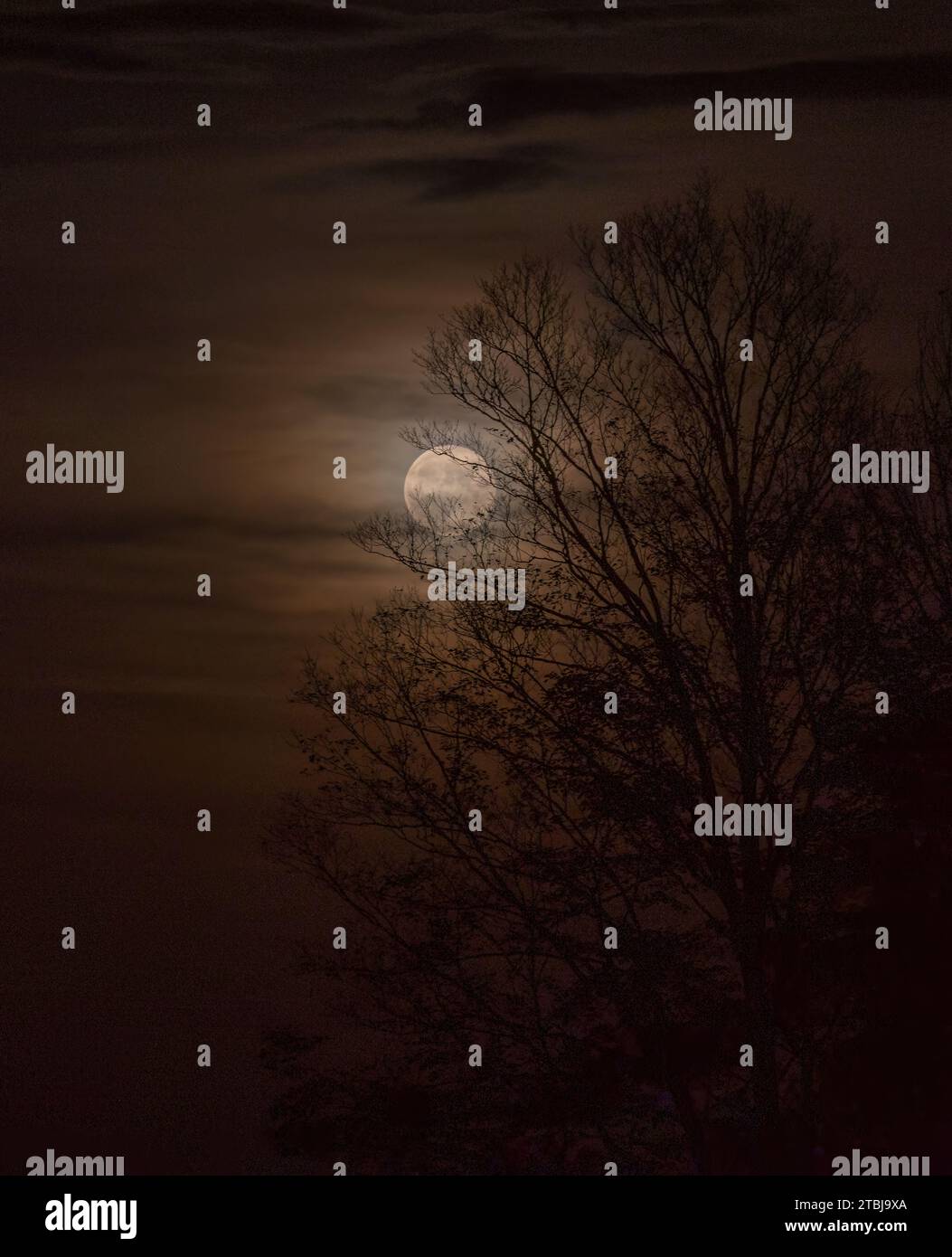 Full moon harvest moon hi-res stock photography and images - Alamy