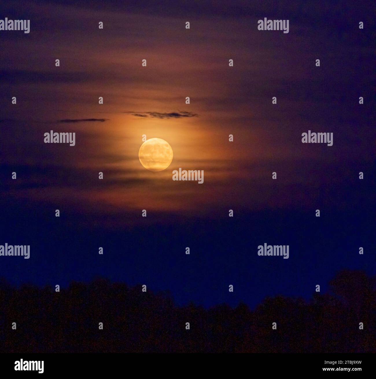Harvest moon rising in northern Wisconsin Stock Photo - Alamy