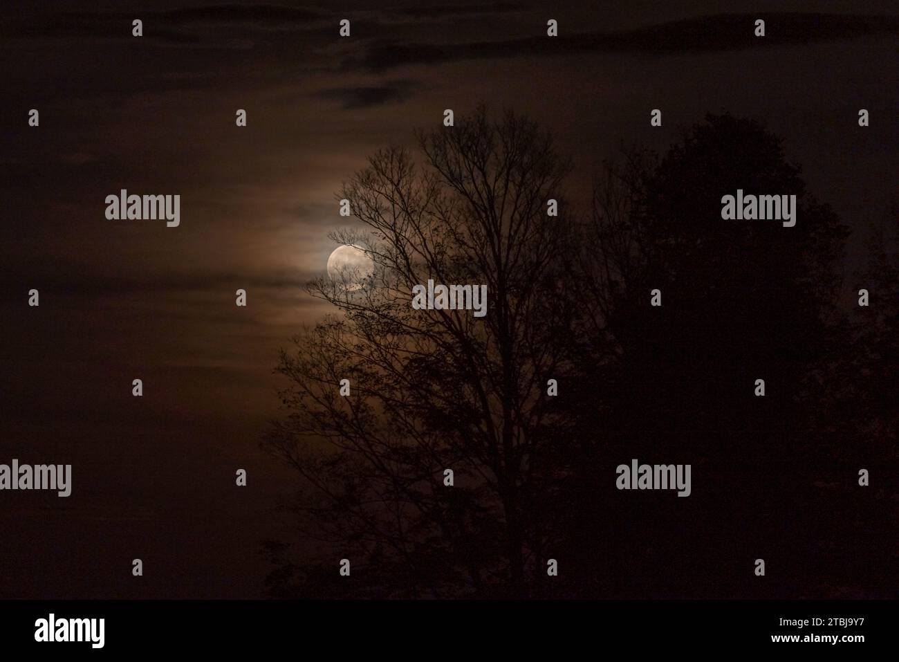 Harvest moon rising in northern Wisconsin Stock Photo - Alamy