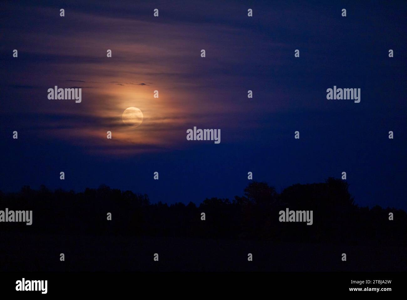 Harvest moon rising in northern Wisconsin Stock Photo - Alamy