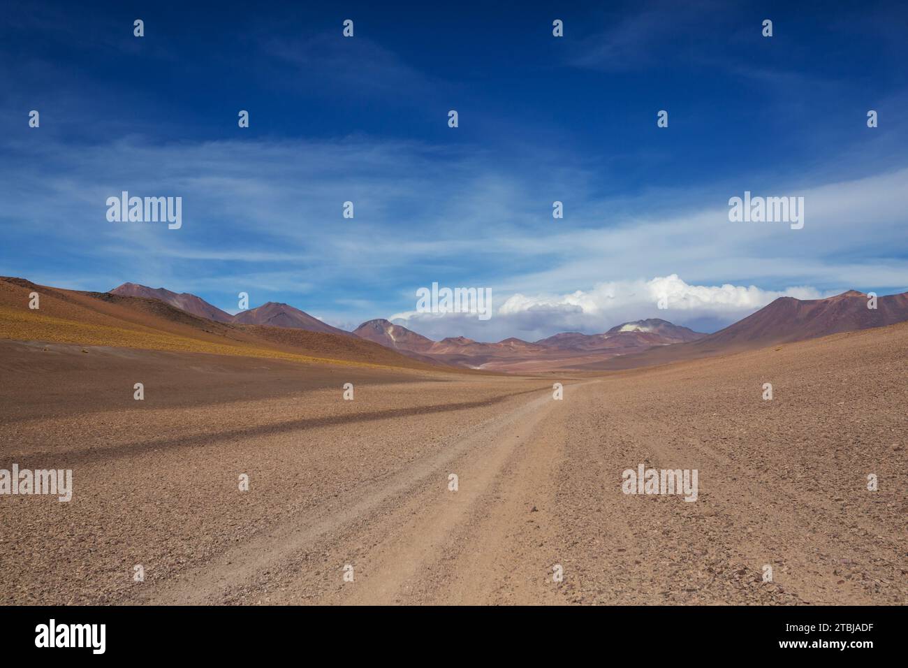 Epic Salvador Dali desert. Unusual natural landscapes in Bolivia Stock ...