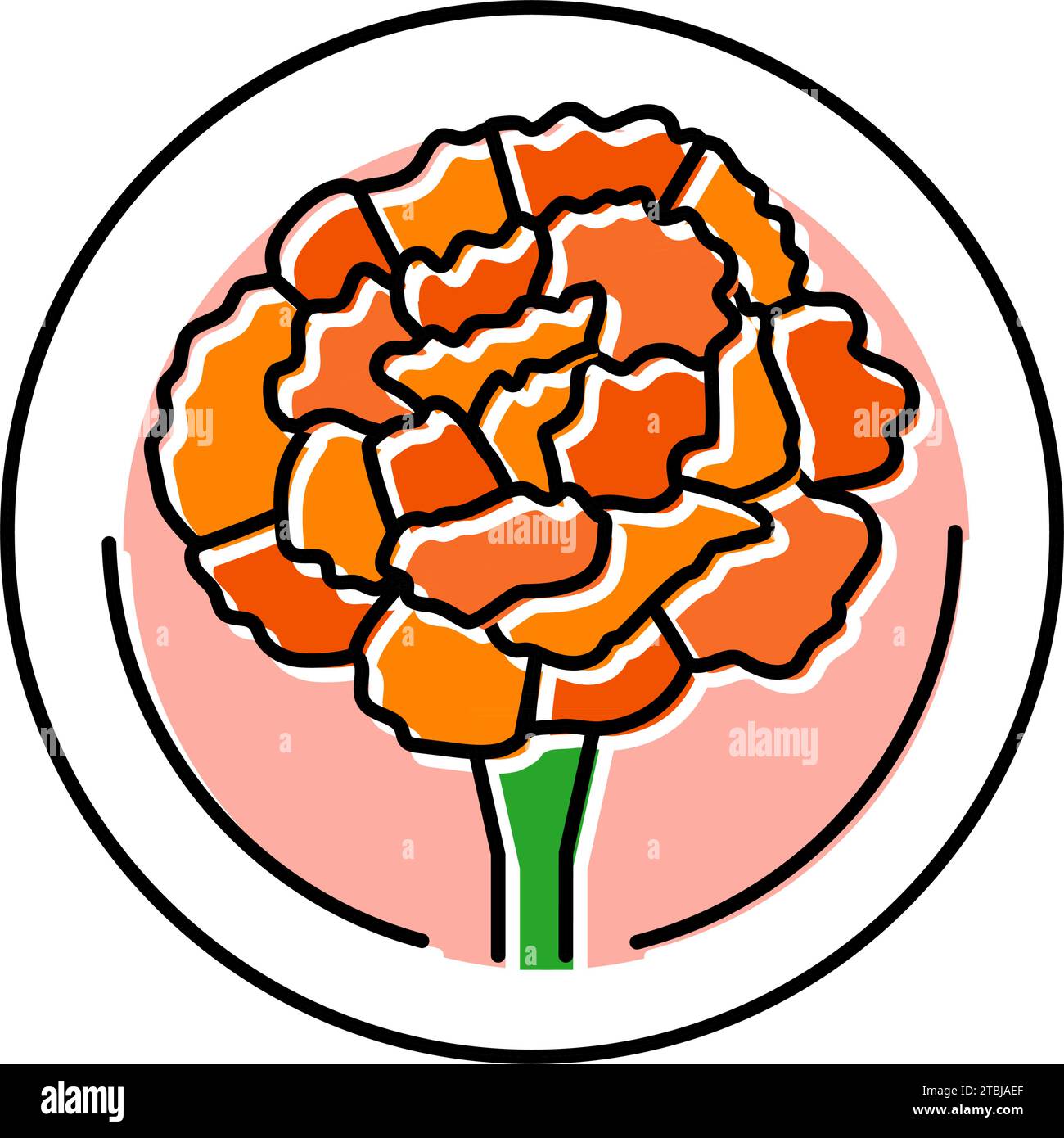 marigold cosmetic plant color icon vector illustration Stock Vector ...