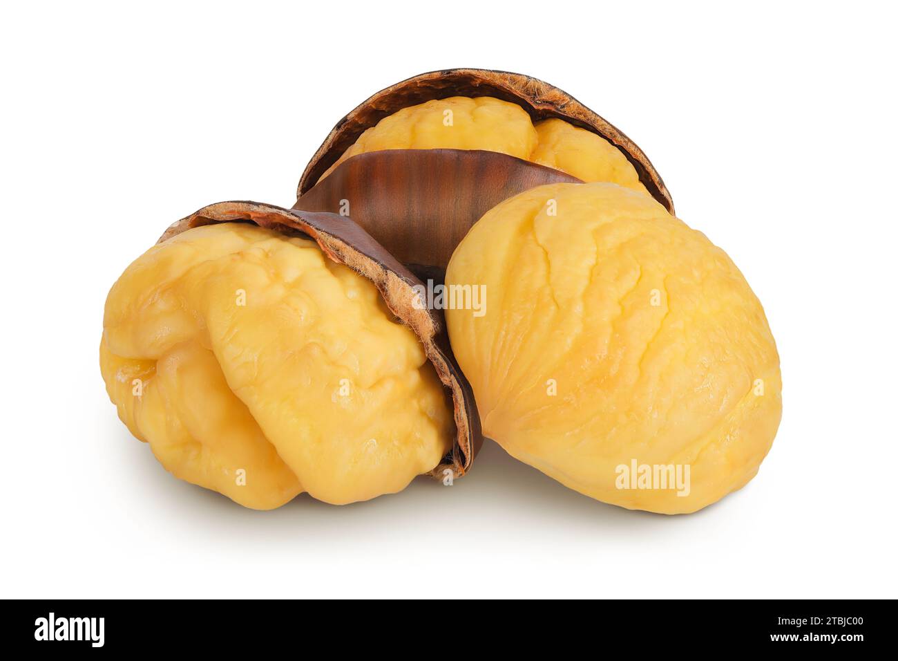 roasted peeled chestnut isolated on white background wit full depth of ...