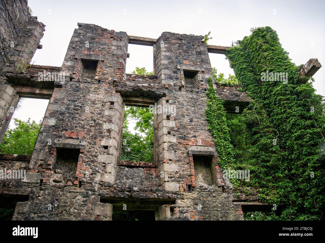 Ruins of the Oban Hills Hydropathic Sanatorium, a proposed hydropathic ...