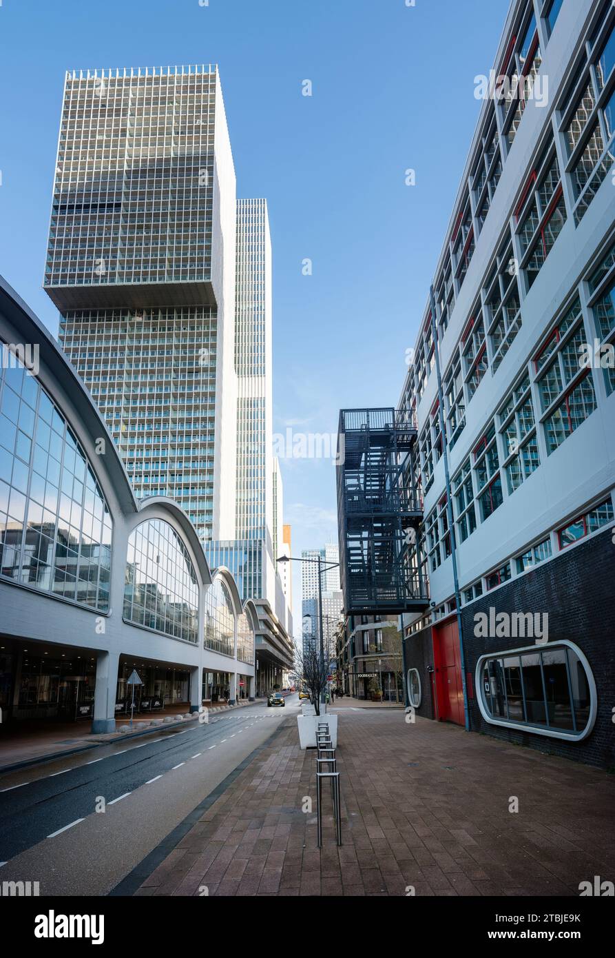 street on kop van zuid and skyscraper by oma architects in rotterdam ...