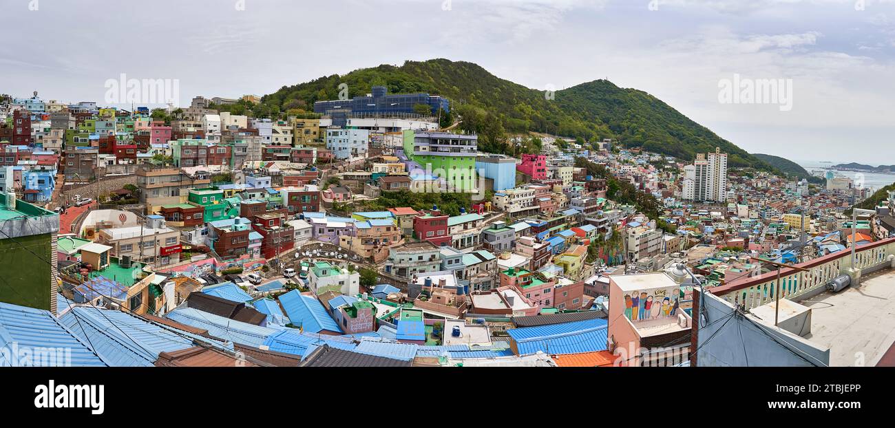 Gamcheon Culture Village in Busan, a lot of colourful houses on the ...