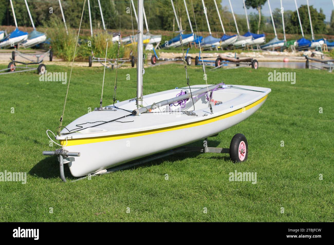 Raked stem hi-res stock photography and images - Alamy