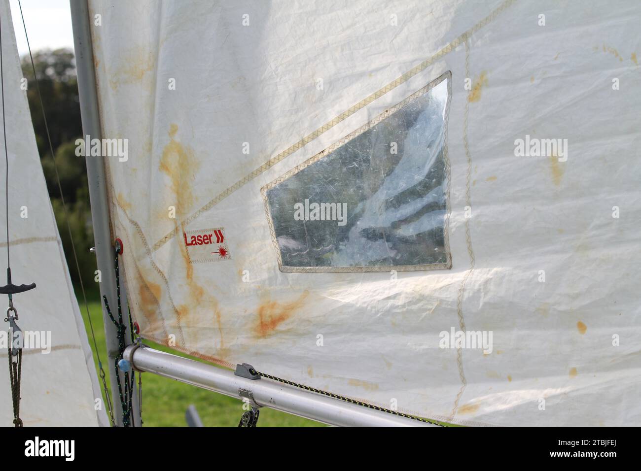 Raked stem hi-res stock photography and images - Alamy