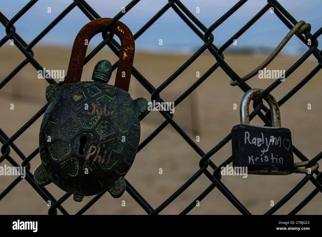 A close-up view of two metal locks securely attached to an iron fence ...