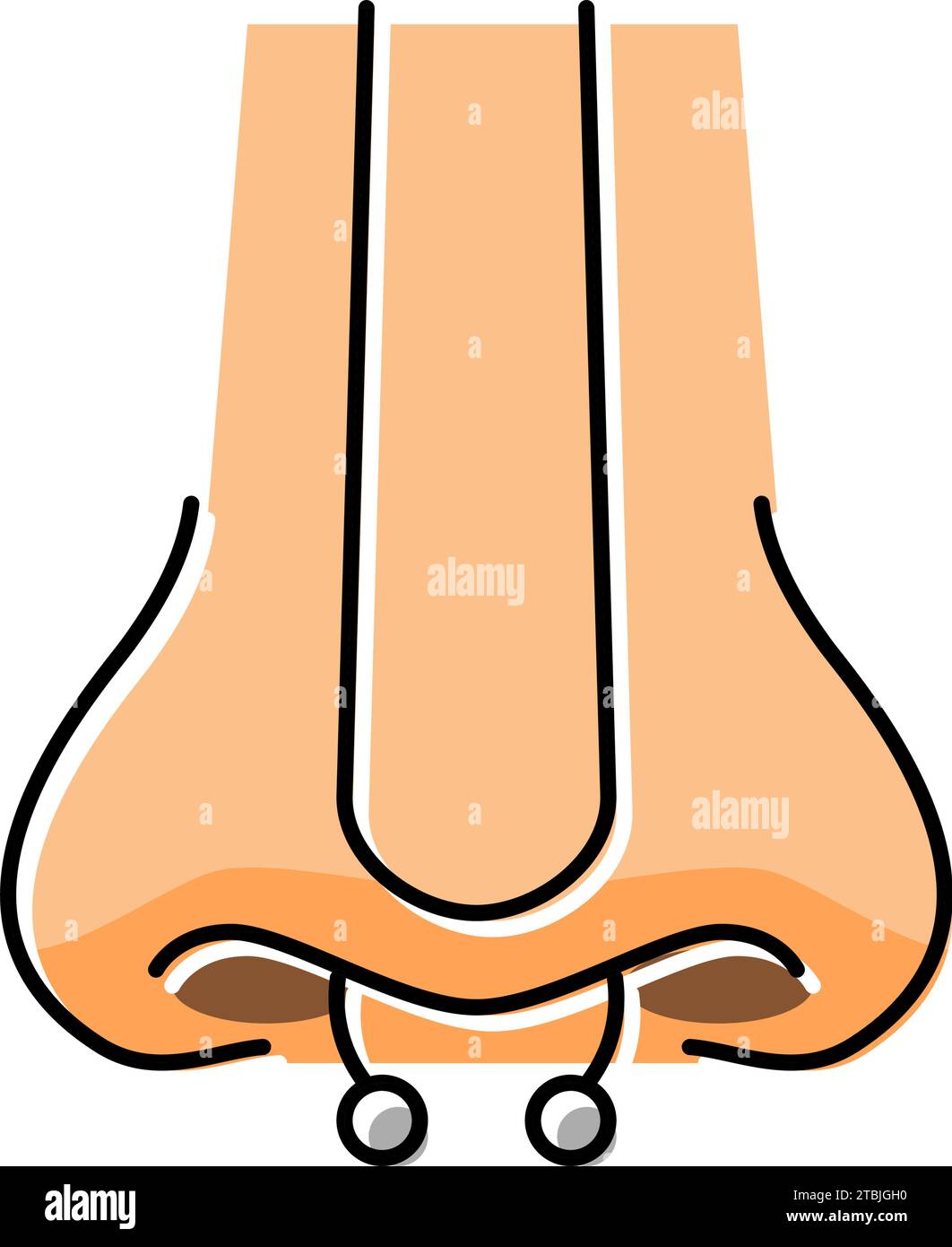 Septum Stock Vector Images - Alamy