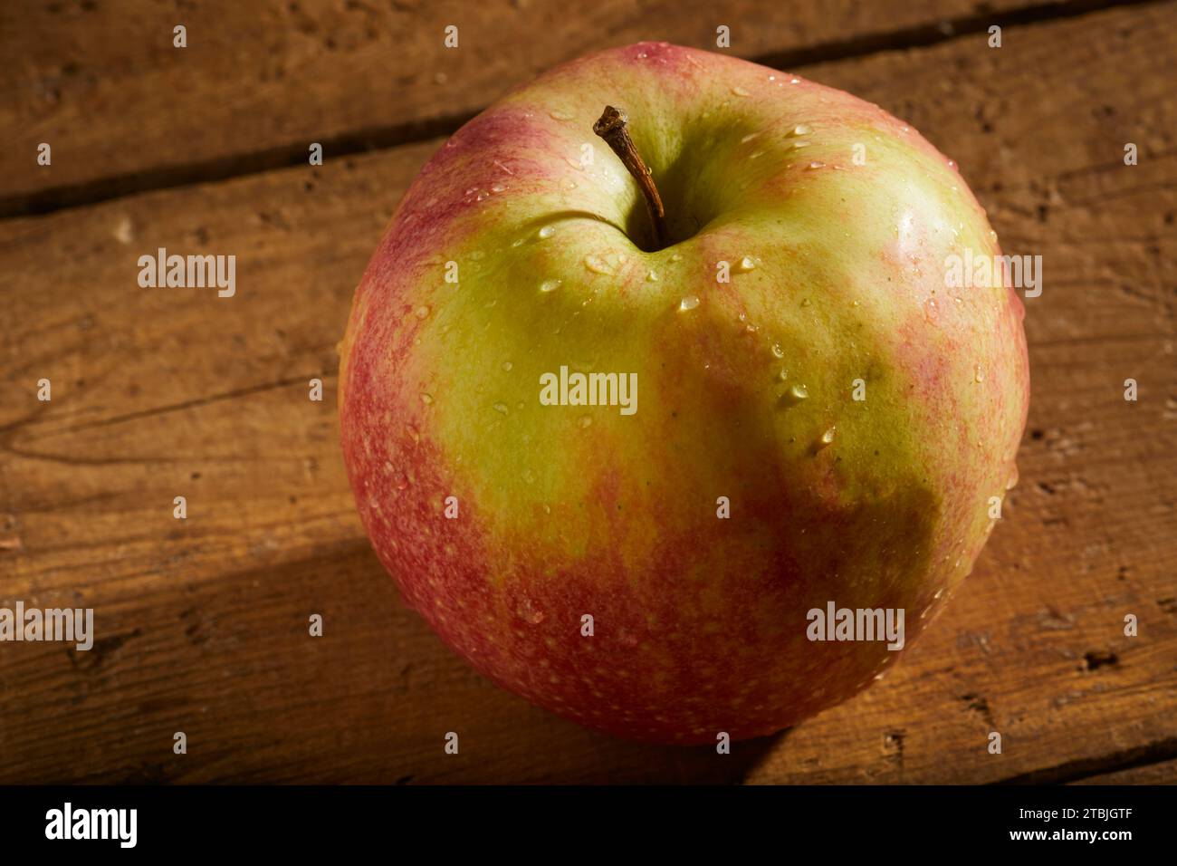 Jonagold apple from an Amish farm in Lancaster County, Pennsylvania ...