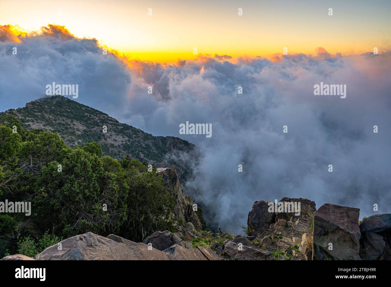 Discover the beauty of Saudi Arabia. Extraordinary landscape of the ...