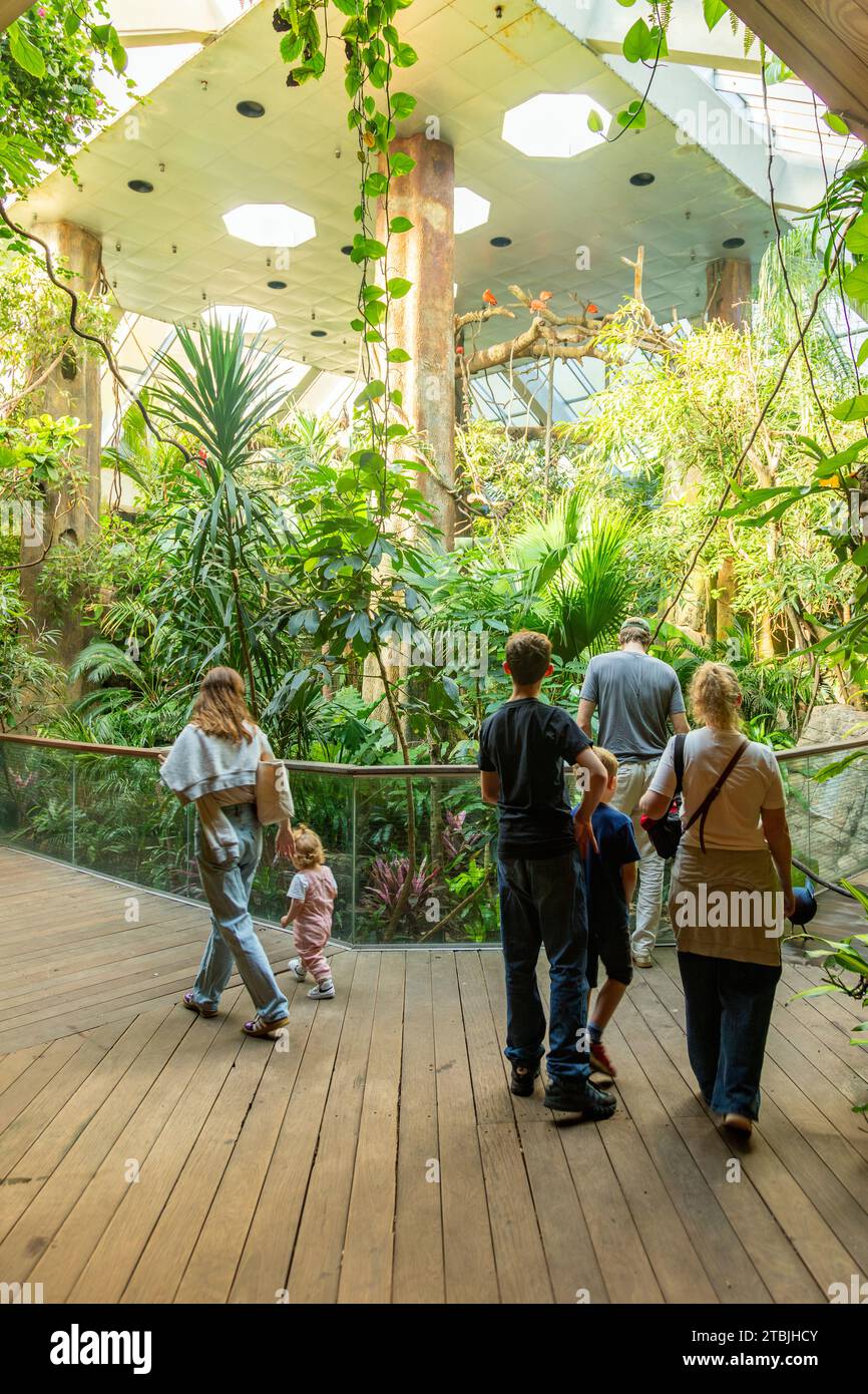 Tropic Zone,The Rainforest,Central Park Zoo, New York City, United ...