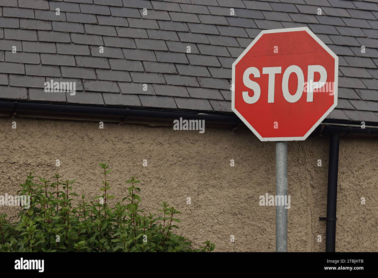 Road sign, stop symbol, standing next to the house Stock Photo - Alamy