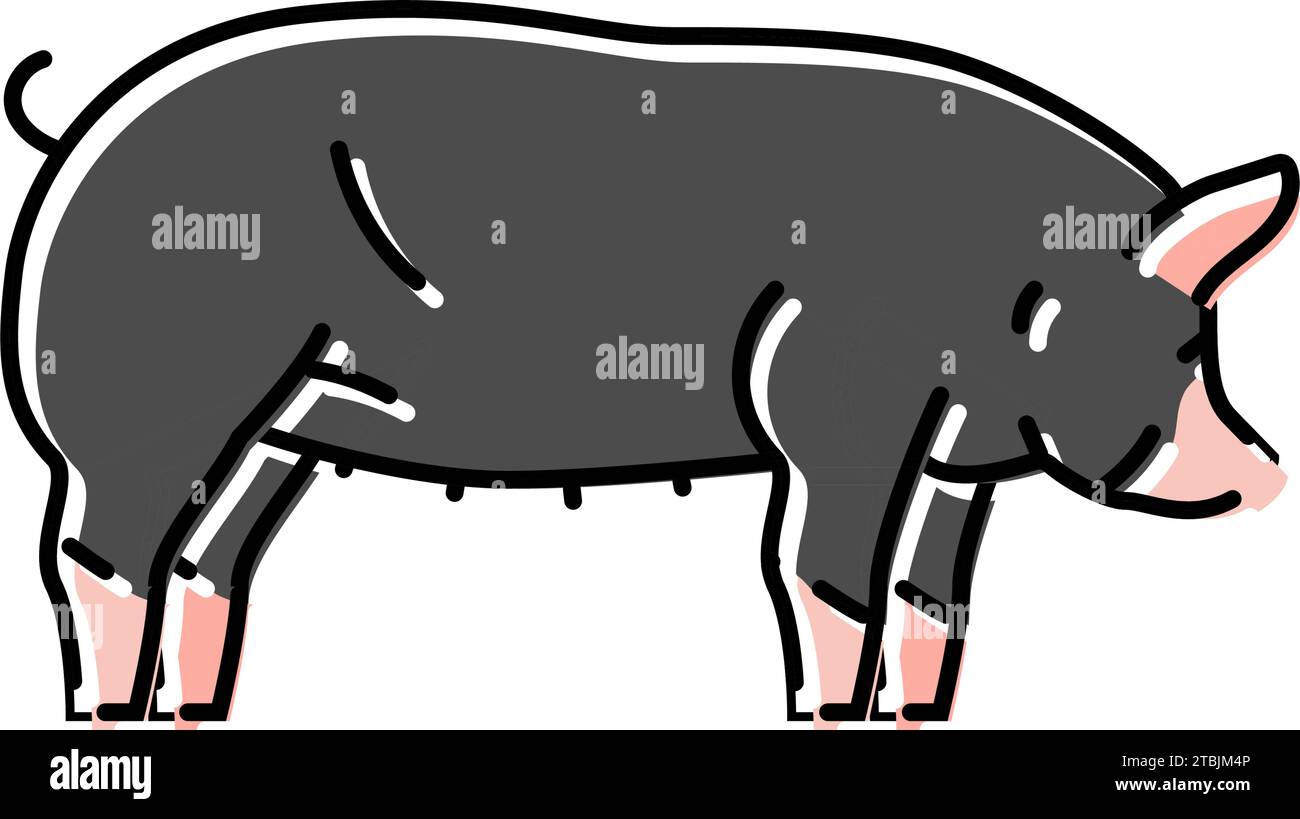 berkshire pig breed color icon vector illustration Stock Vector Image ...