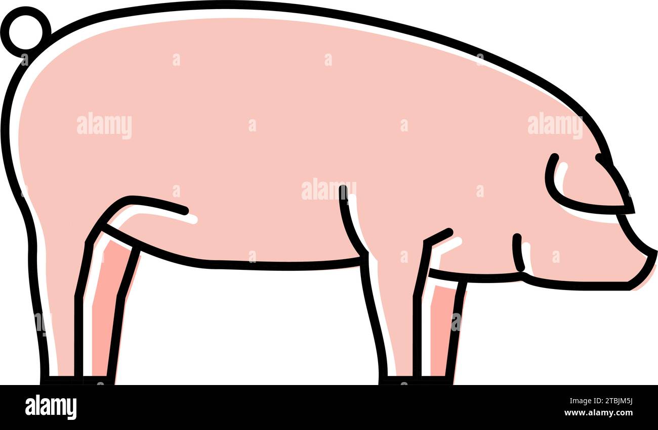 landrace pig breed color icon vector illustration Stock Vector Image ...