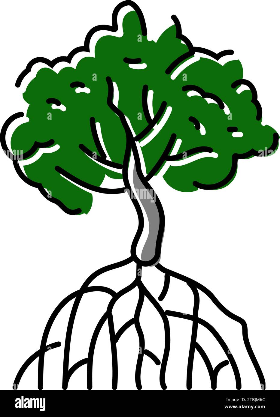 mangrove tree color icon vector illustration Stock Vector Image & Art ... mangrove tree color icon vector illustration Stock Vector Image & Art ...