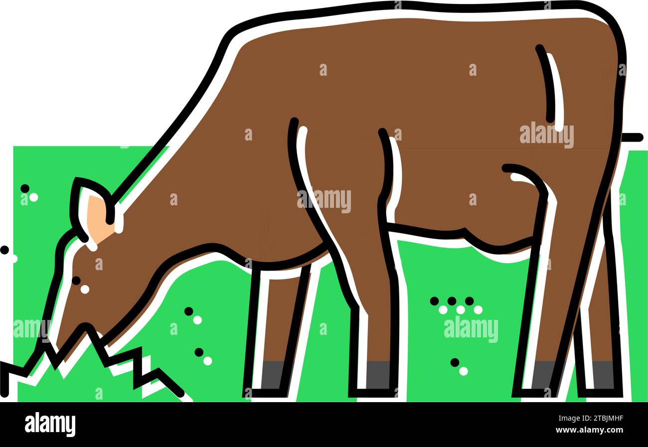 Friesian cow eating grass Cut Out Stock Images & Pictures - Alamy