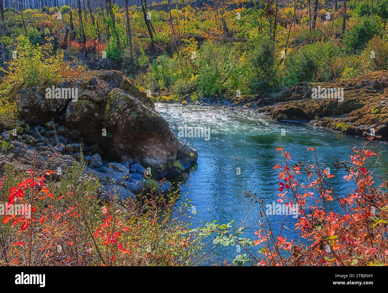 A scenic river with blue water running between lush green trees and ...