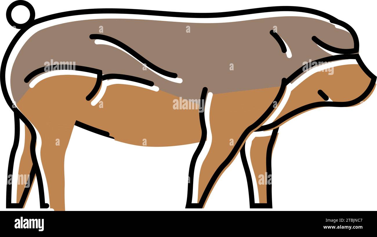 The duroc pig Cut Out Stock Images & Pictures - Alamy