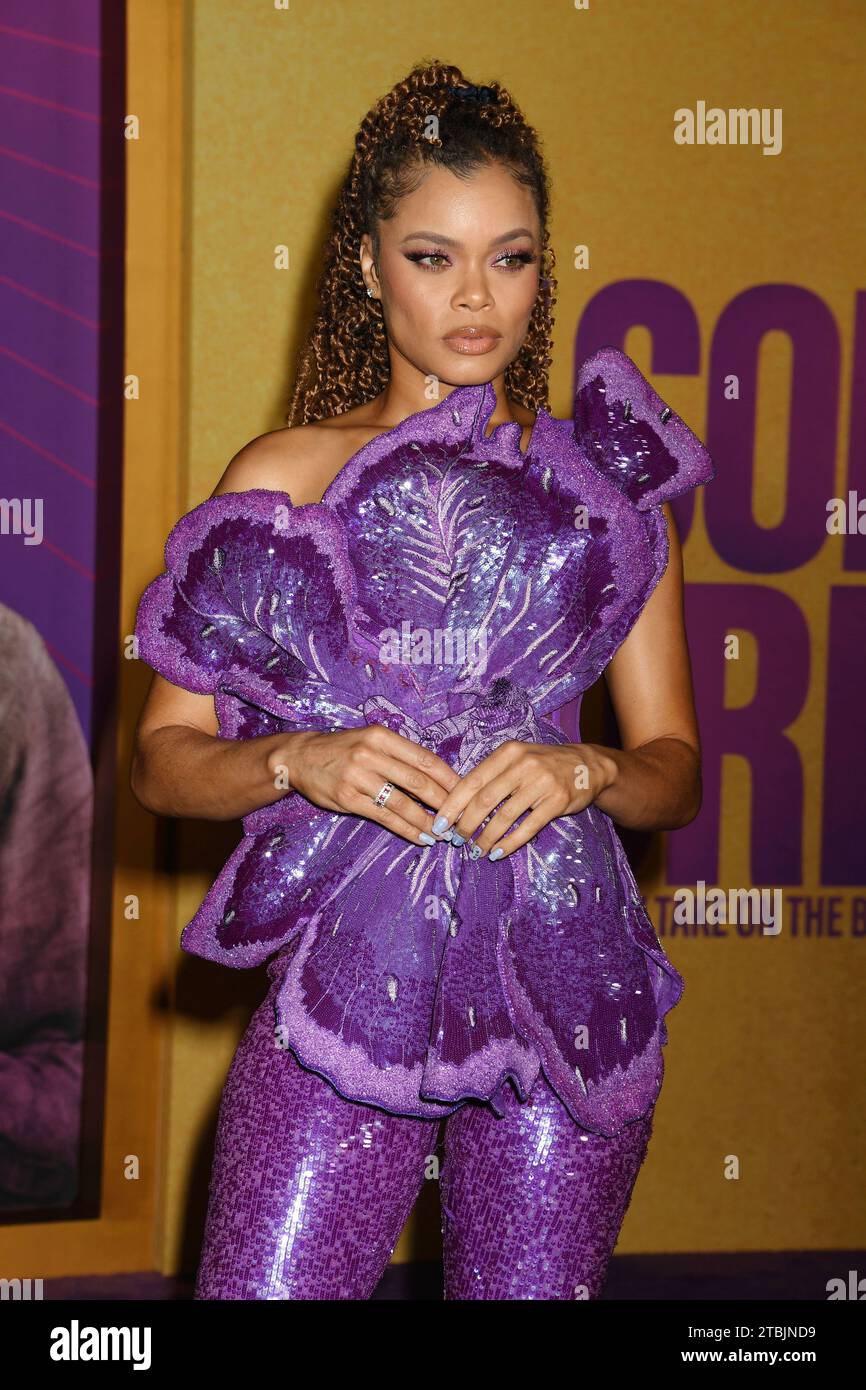 LOS ANGELES, CALIFORNIA - DECEMBER 06: Andra Day attends the World ...