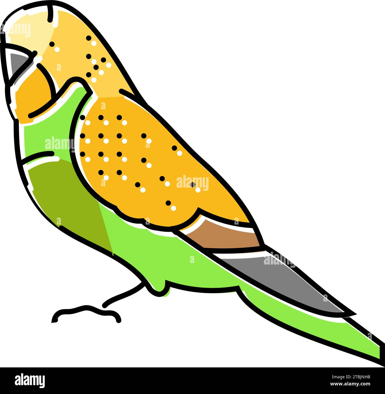 budgerigar parakeet bird parrot color icon vector illustration Stock ...