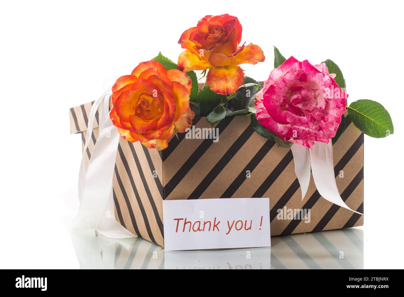 gift box with ribbons and beautiful roses inside, isolated on a white ...