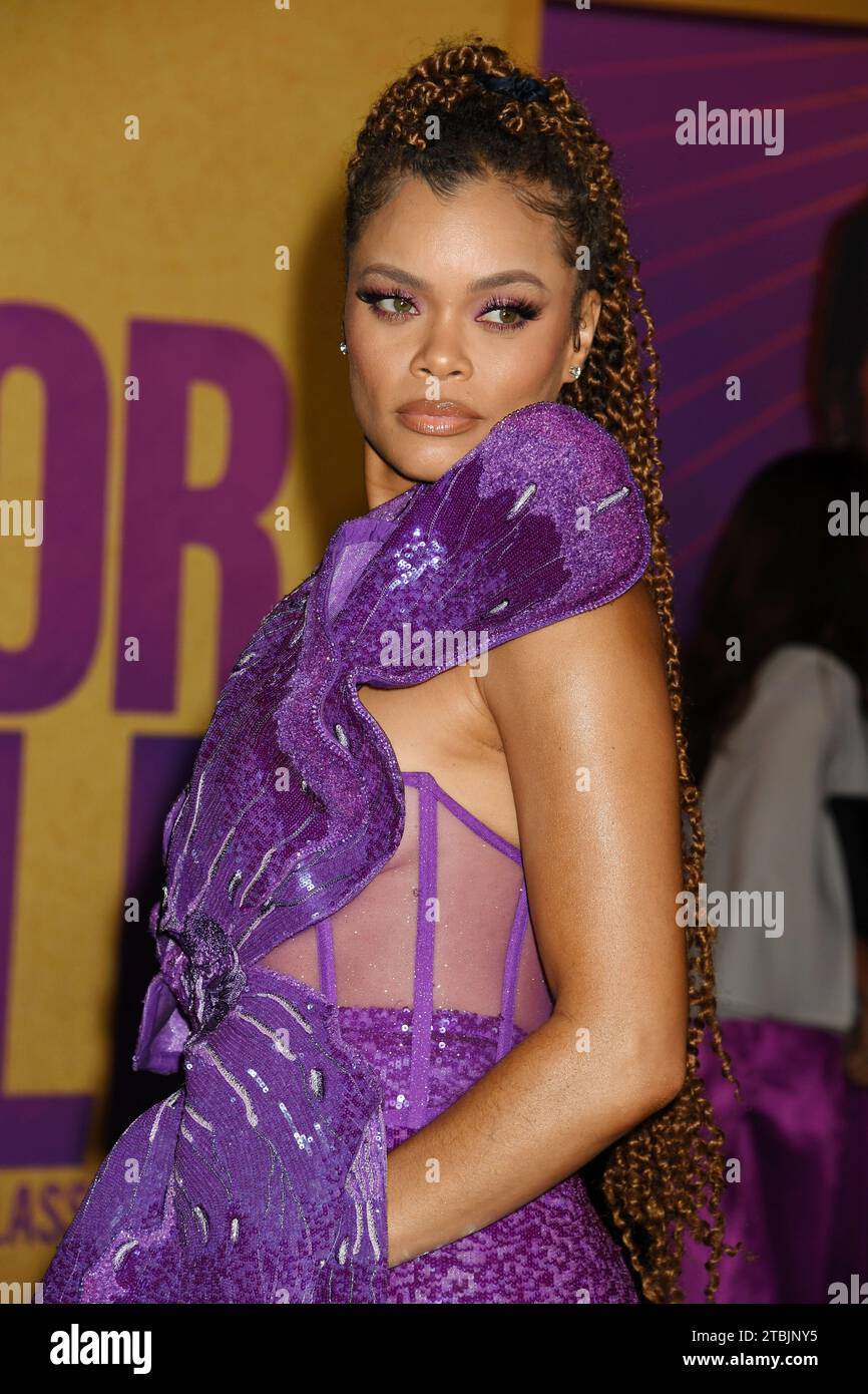 LOS ANGELES, CALIFORNIA - DECEMBER 06: Andra Day attends the World ...