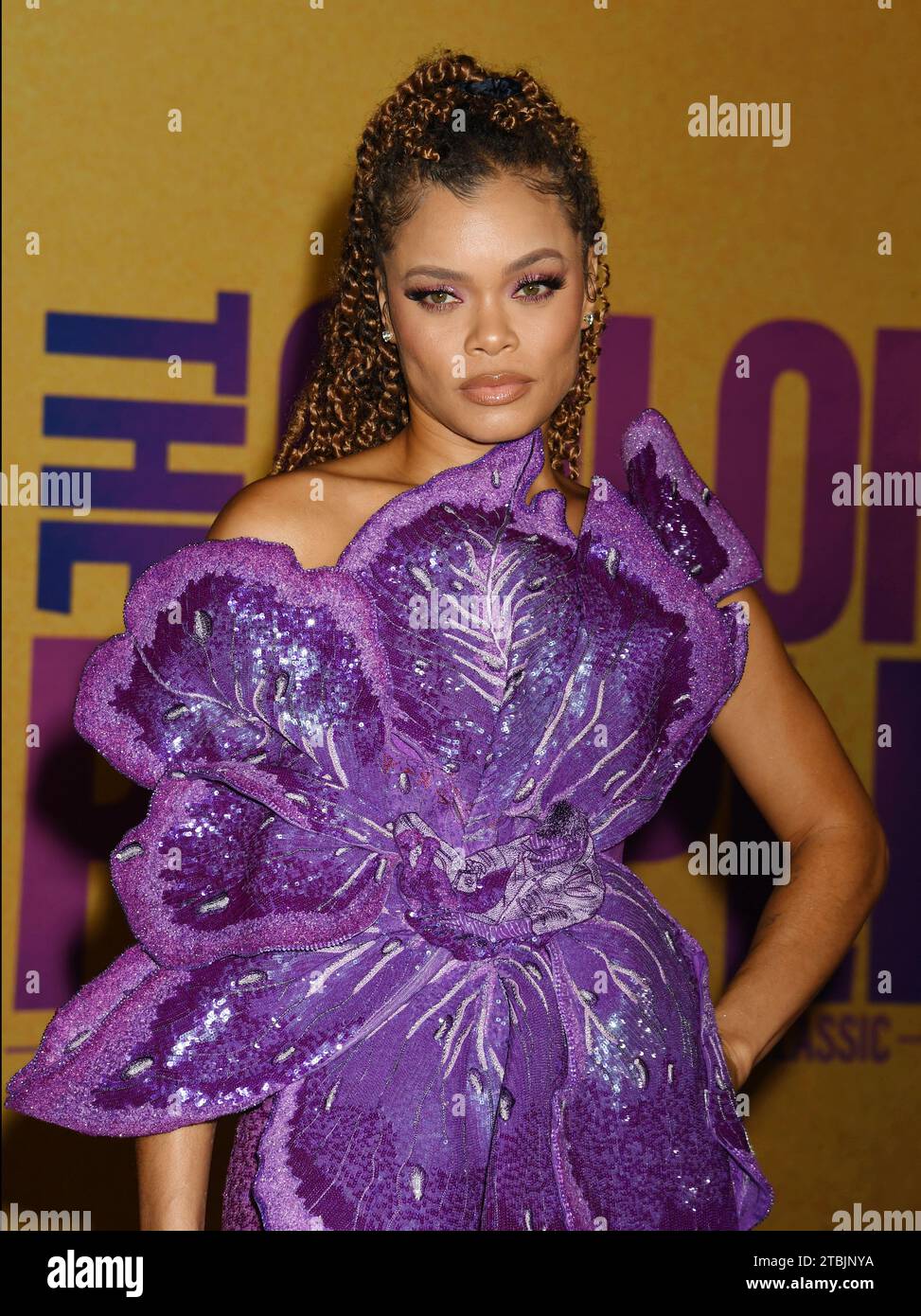 LOS ANGELES, CALIFORNIA - DECEMBER 06: Andra Day attends the World ...