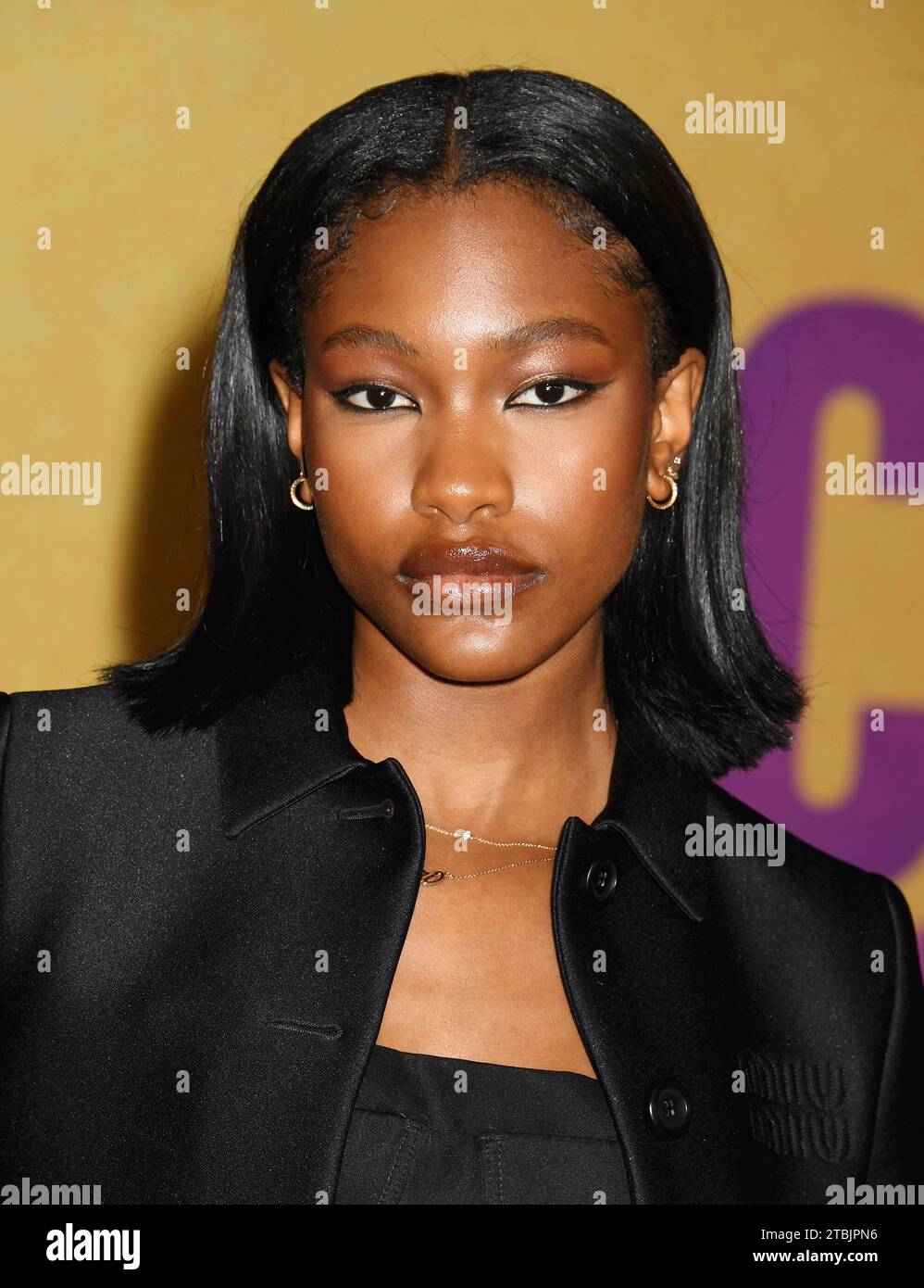 LOS ANGELES, CALIFORNIA - DECEMBER 06: Demi Singleton attends the World ...