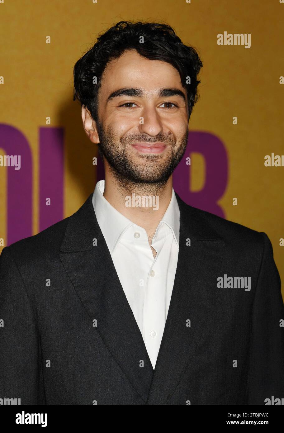 Los Angeles, California, USA. 06th Dec, 2023. Alex Wolff attends the ...
