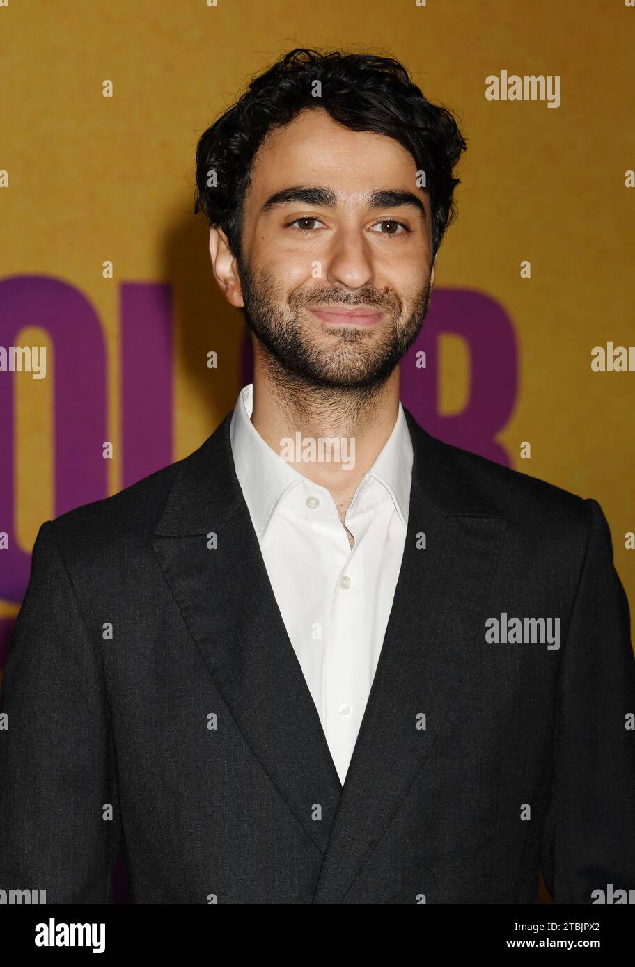 Los Angeles, California, USA. 06th Dec, 2023. Alex Wolff attends the ...