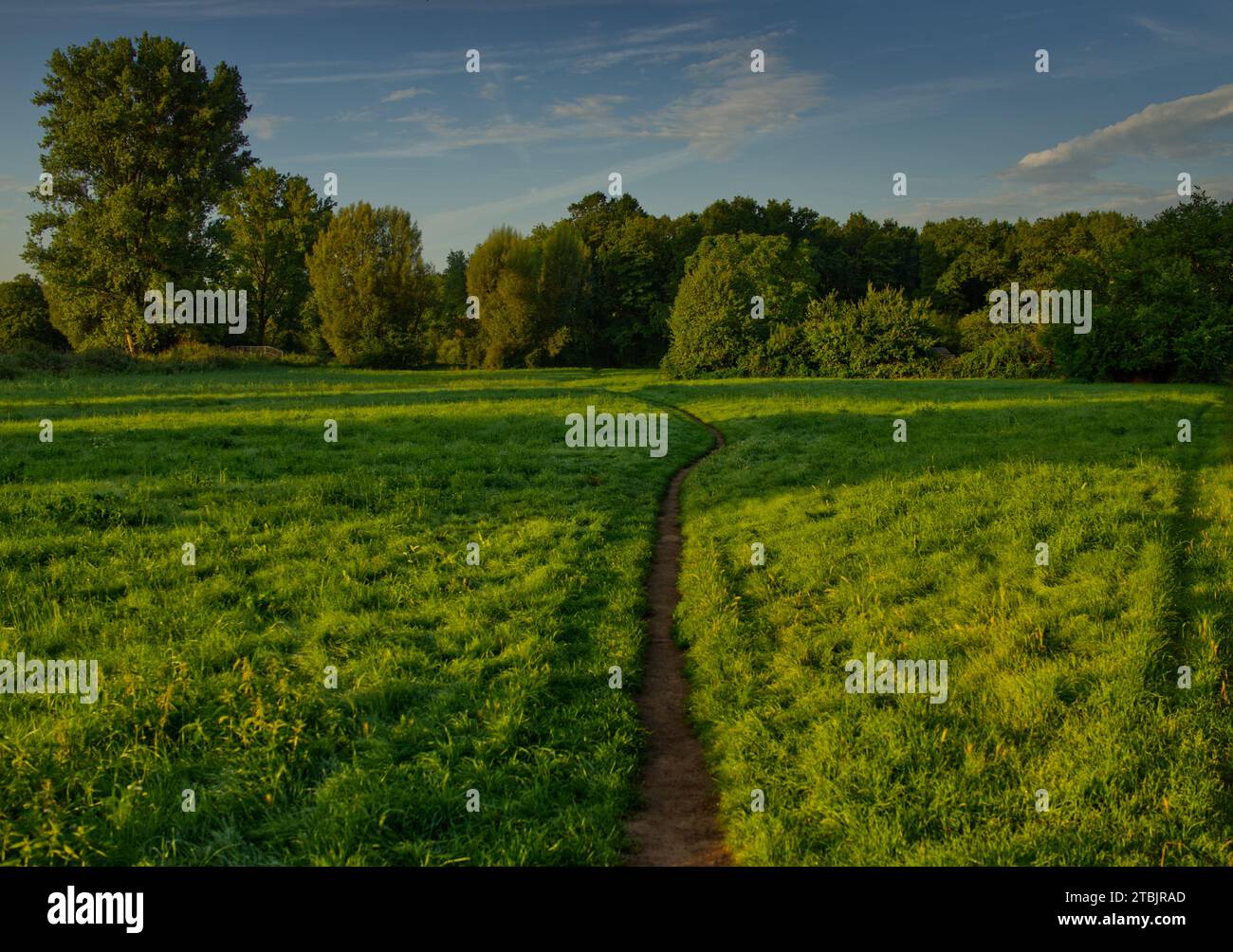 Green scenery hi-res stock photography and images - Alamy