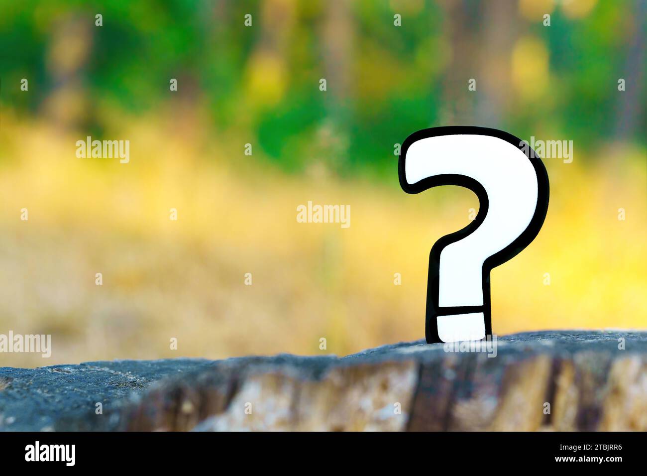 Question mark figurine on a tree stump with a forest background ...