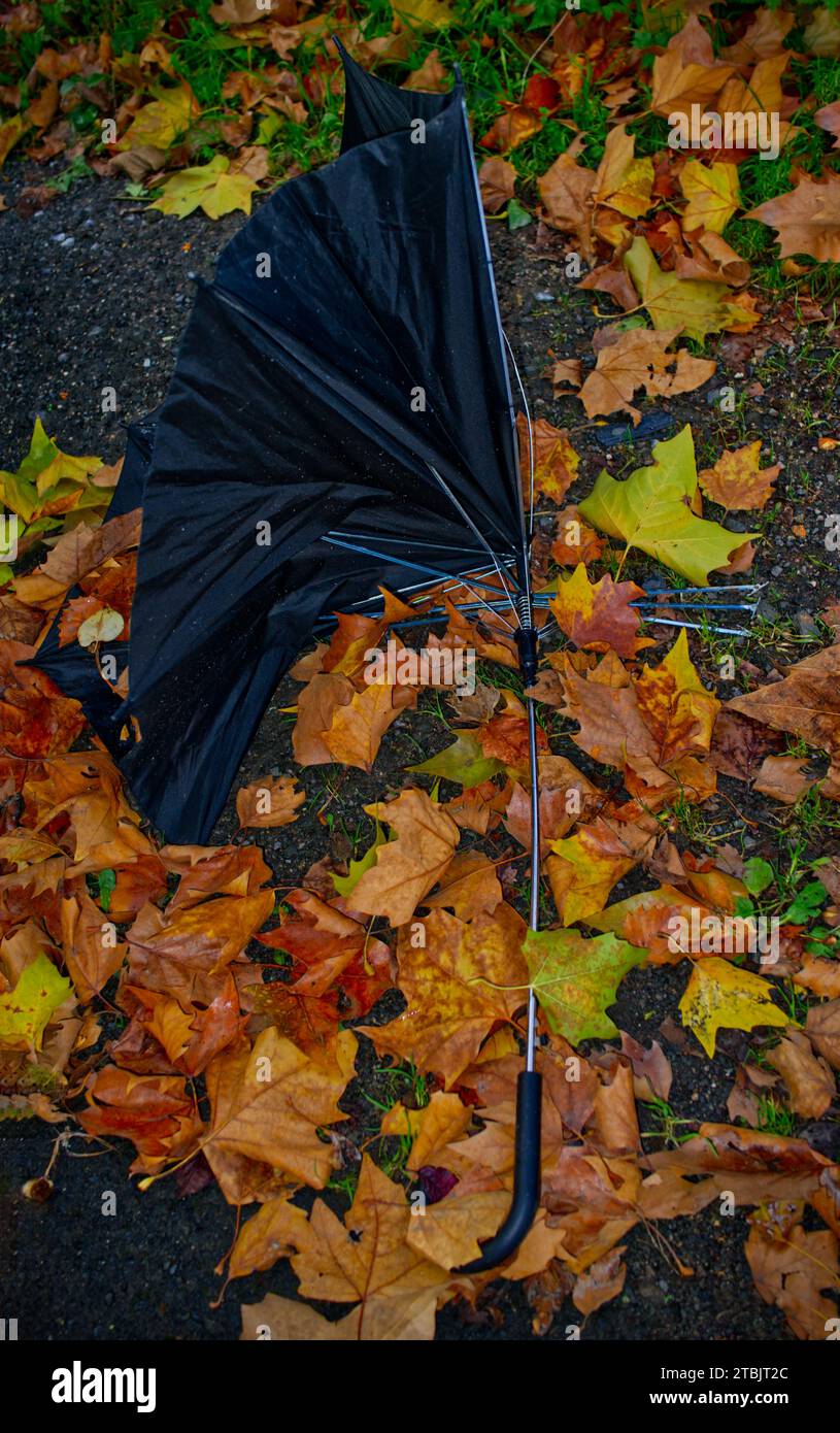 Damaged broken umbrella hi-res stock photography and images - Alamy