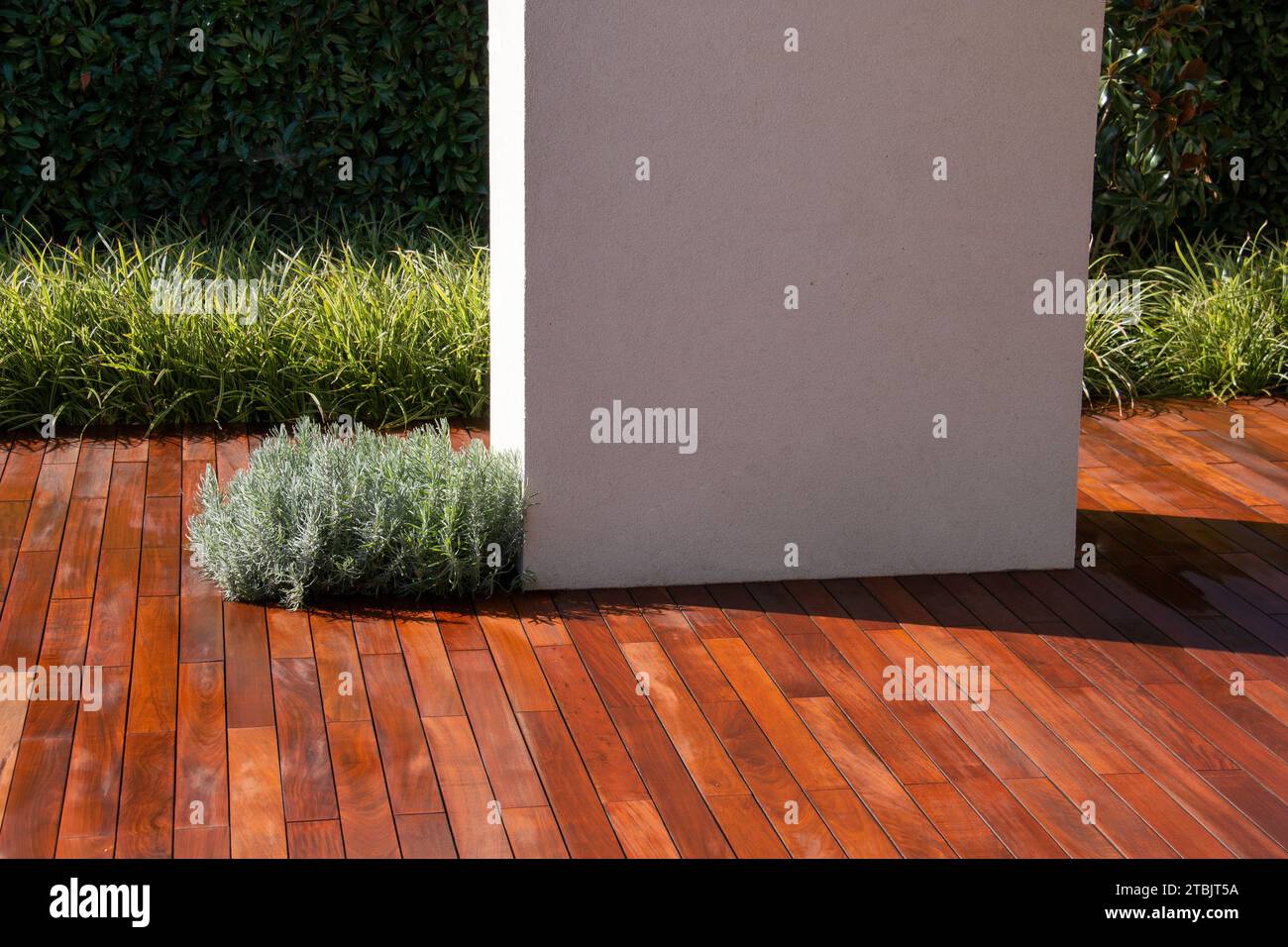 White concrete pillar on hardwood terrace floor patio with evergreen ...