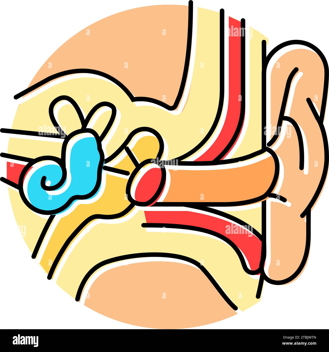 ear anatomy audiologist doctor color icon vector illustration Stock ...