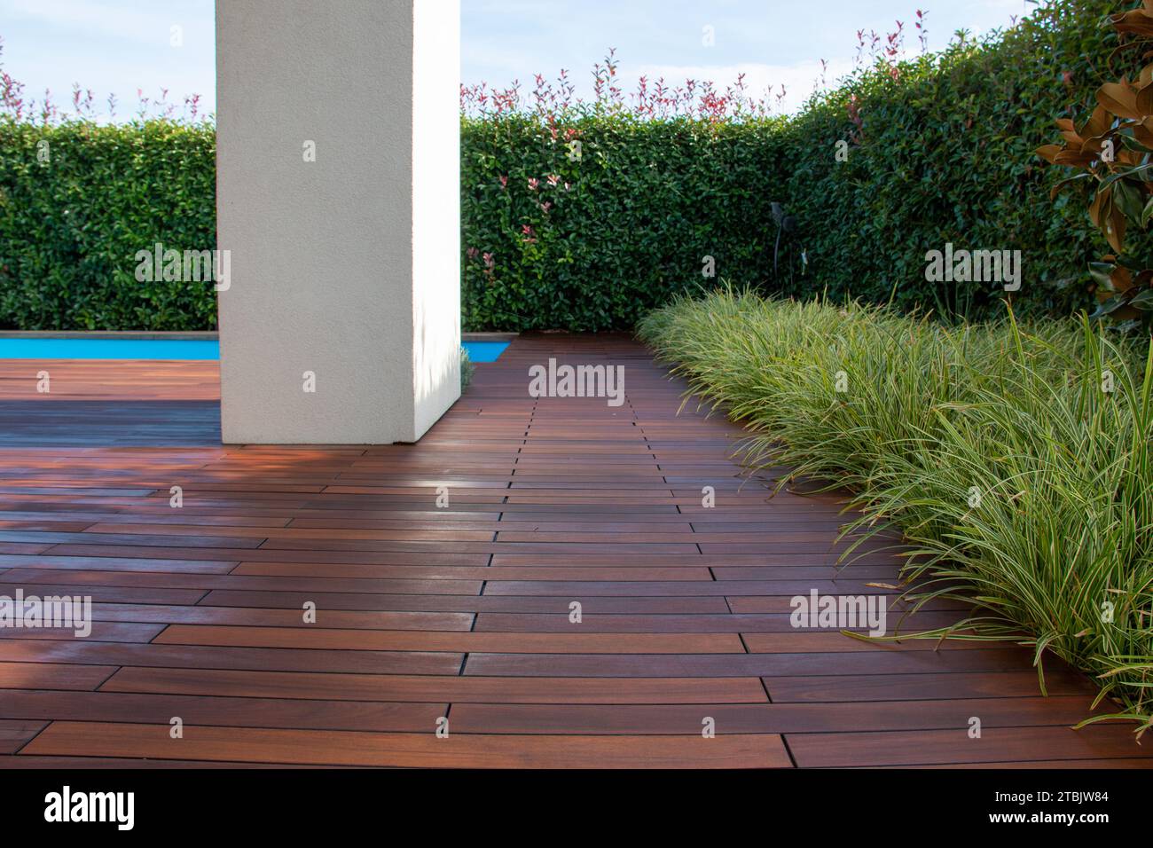 Hardwood deck with evergreen fence and pool, exotic wood terrace ...