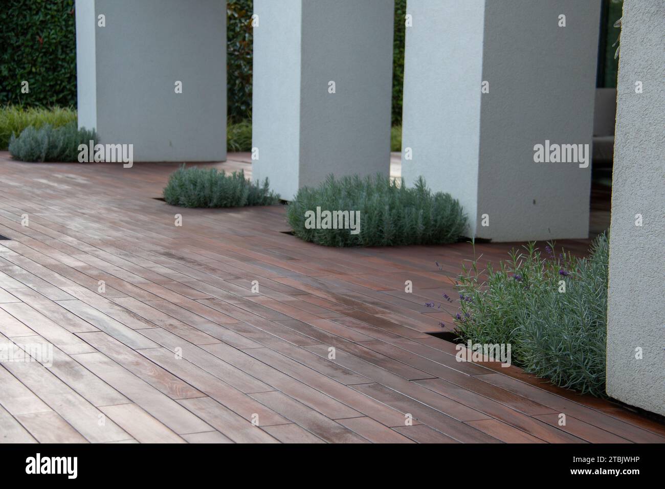 Patio with white concrete columns on hardwood deck and greens Stock ...