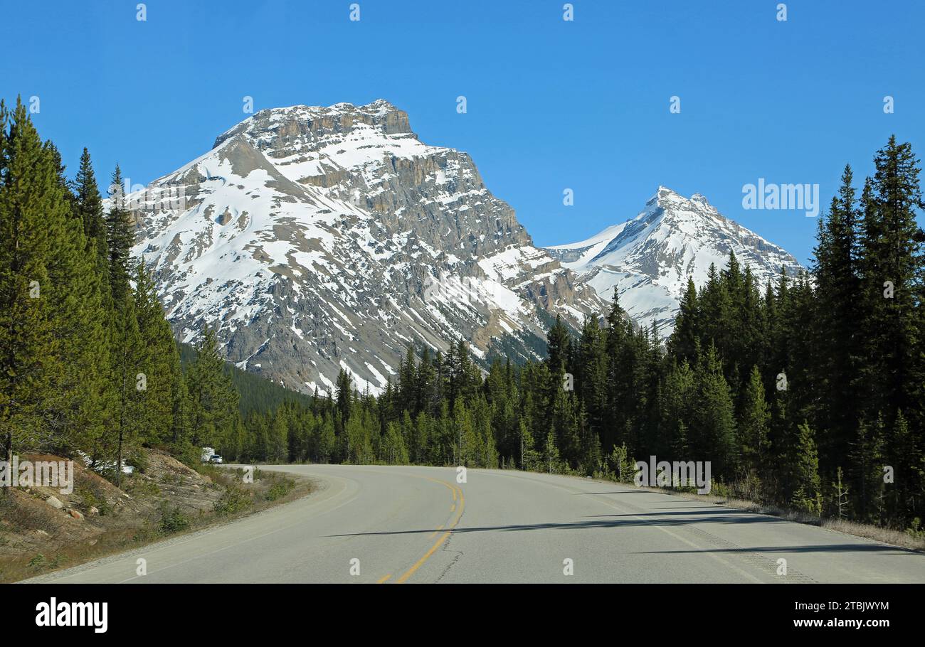 The curve of Icefield Parkway - road of Canada Stock Photo - Alamy