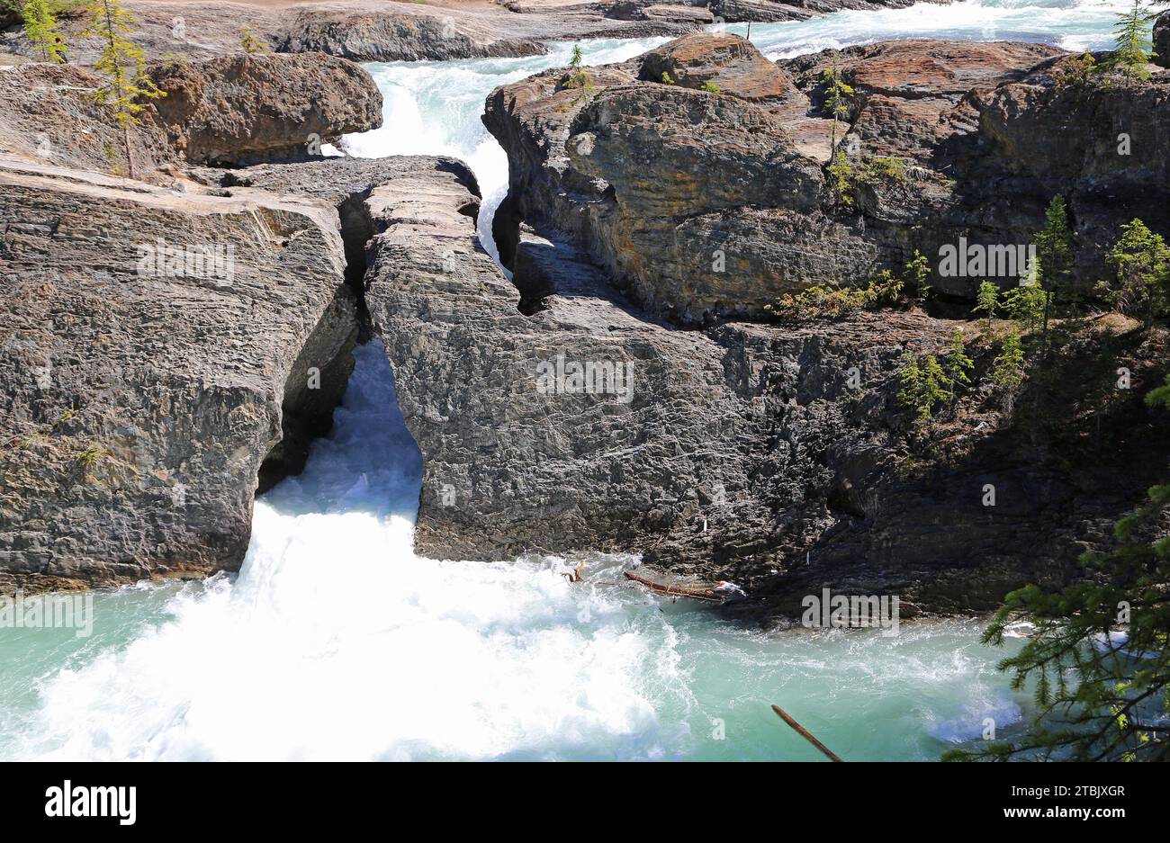 Natural Bridge - Kicking Horse River, Canada Stock Photo - Alamy