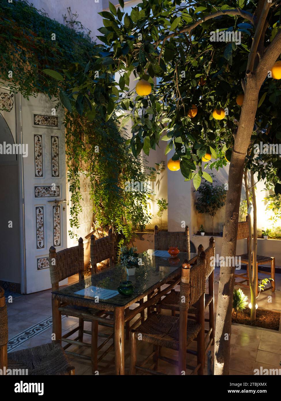 Lemon trees in a Riad at night with artificial lighting. Marrakesh aka ...