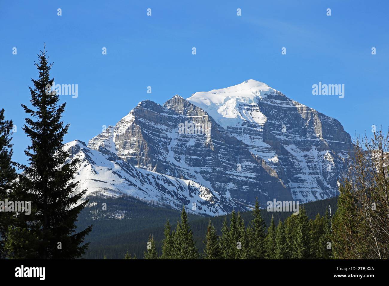 Mount Temple, Canada Stock Photo - Alamy