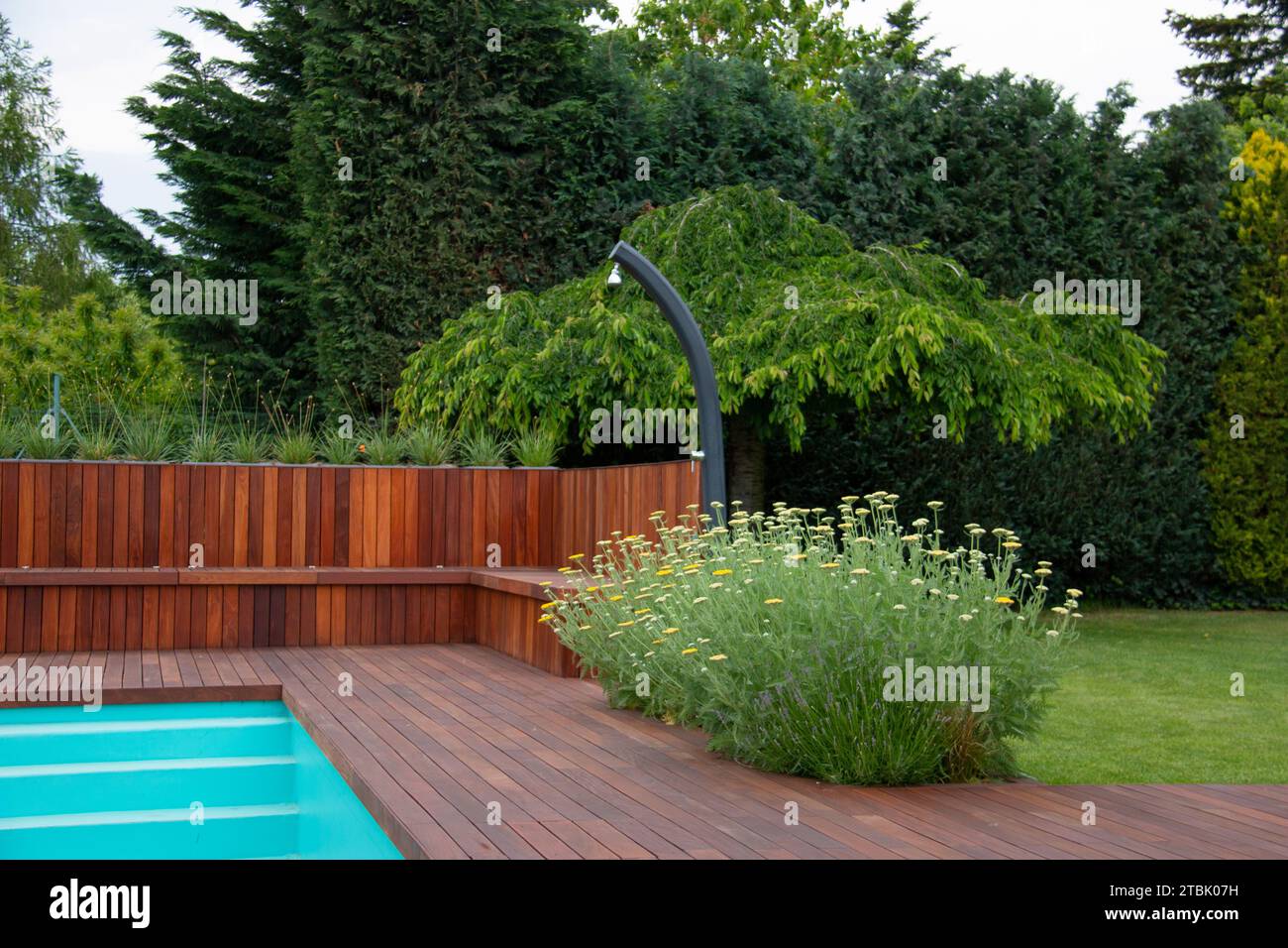 Garden trees and greenery with hardwood deck around the swimming pool ...
